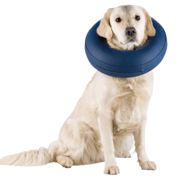 Collerette gonflable - Happy Dog Wavre
