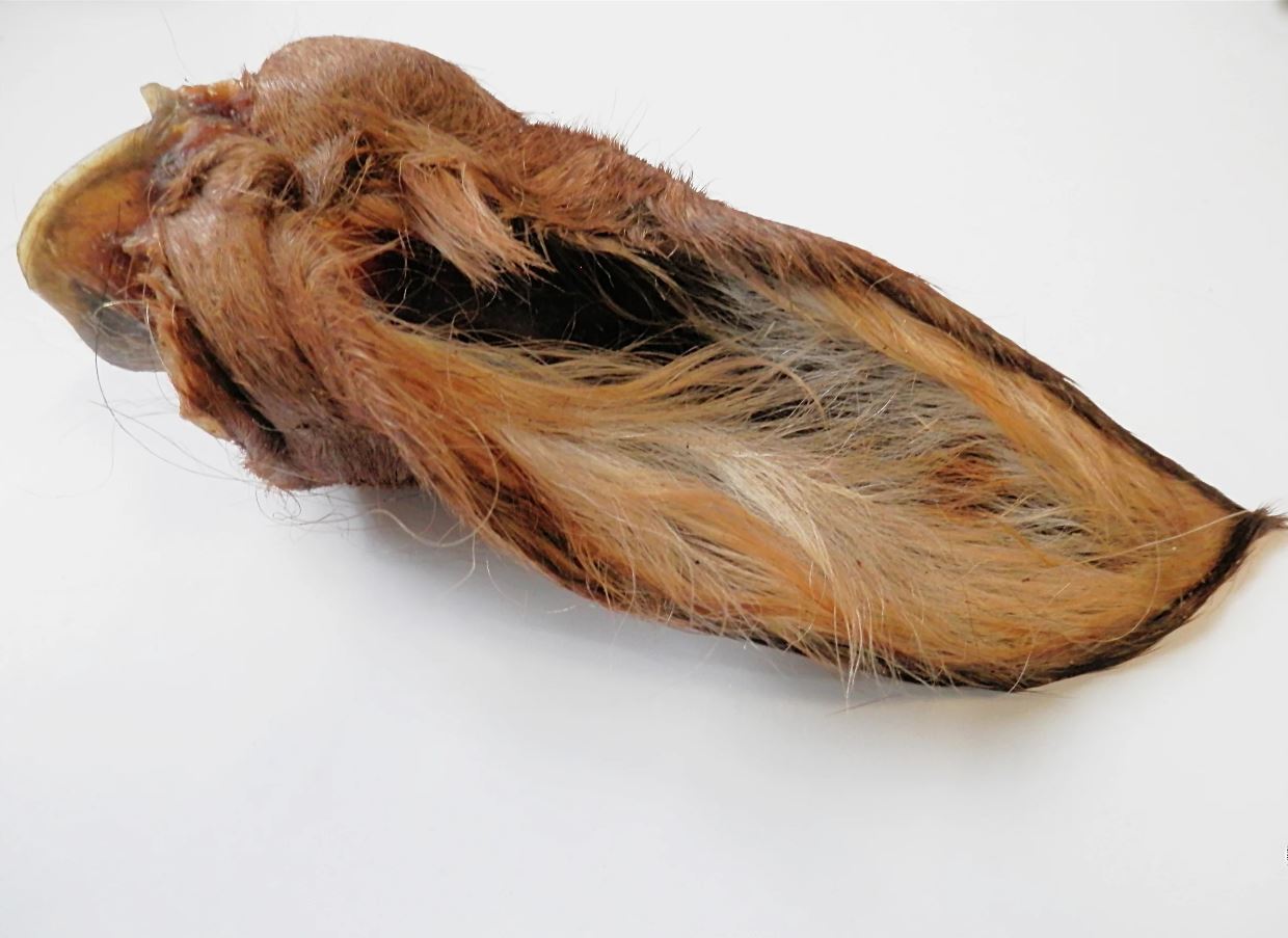 Oreilles de cheval poilues - 5 pièces - Happy Dog Wavre